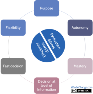 What is horizontal management in Agile at Scale? - Wind4Change